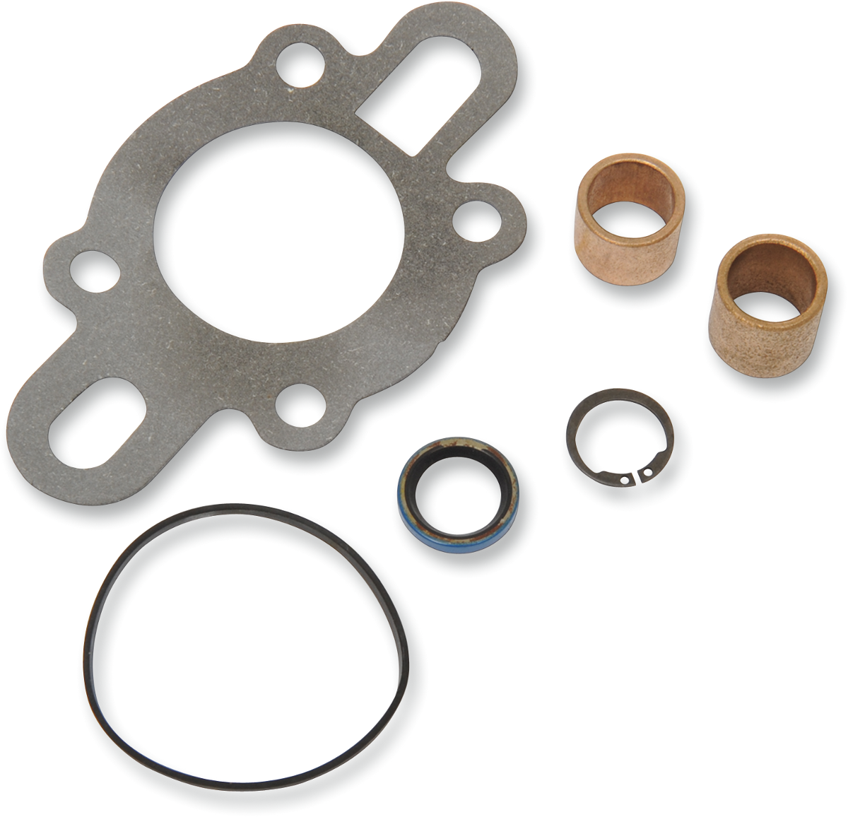 Oil Pump Repair Kit – Factory 47